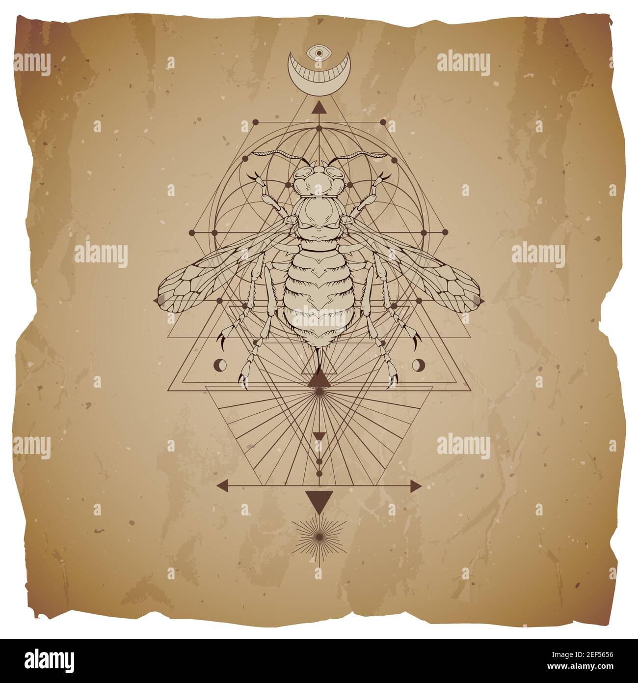 Wasp paper texture Stock Vector Images - Alamy