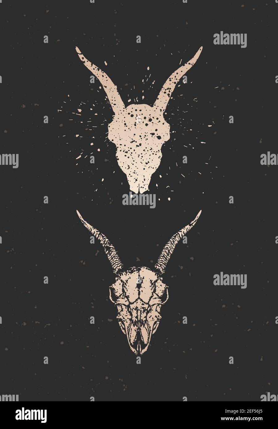 Vector illustration with two variants of hand drawn goat skull on black ...