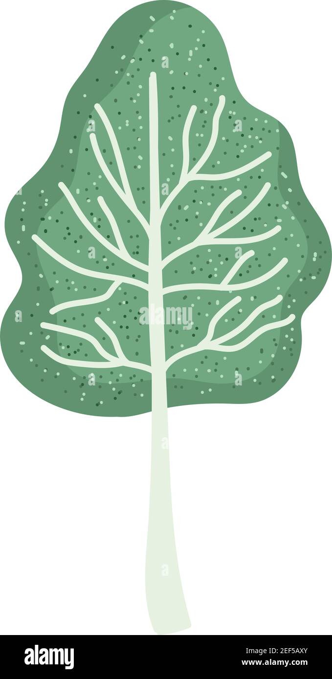 tree foliage nature plant vector illustration isolated style Stock ...