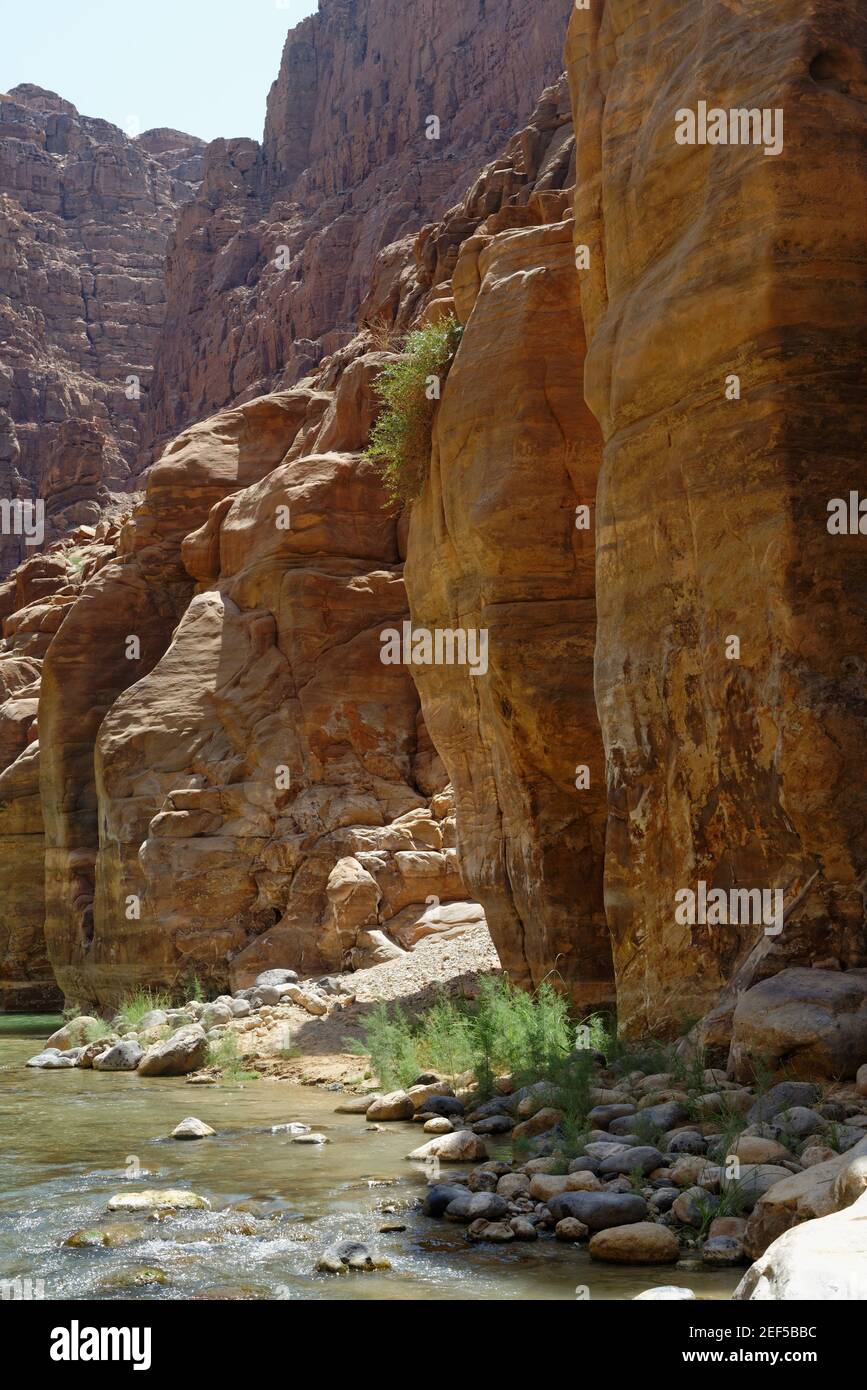 Wadi mujib nature reserve hi-res stock photography and images - Alamy