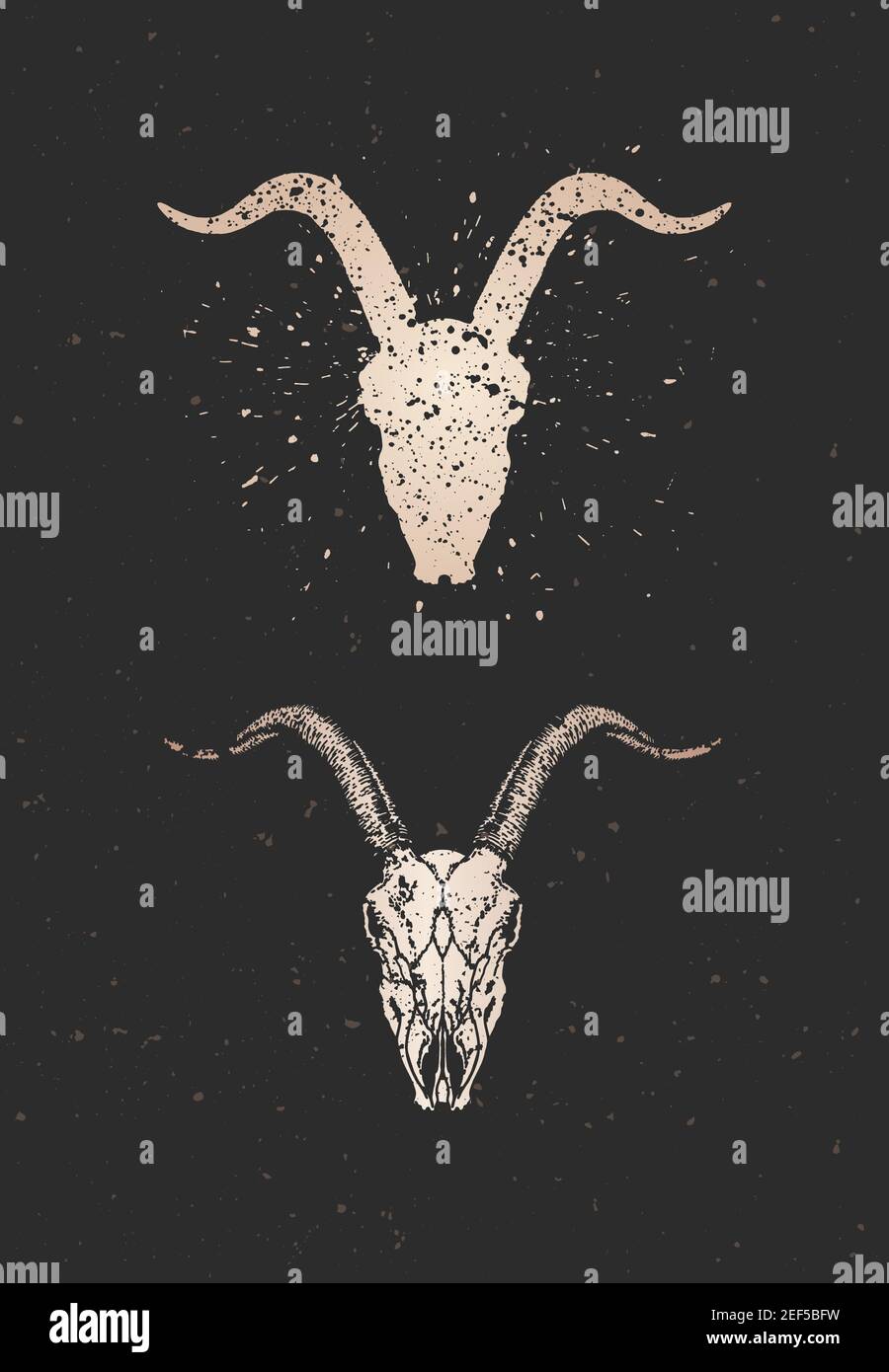 Vector illustration with two variants of hand drawn goat skull on black ...