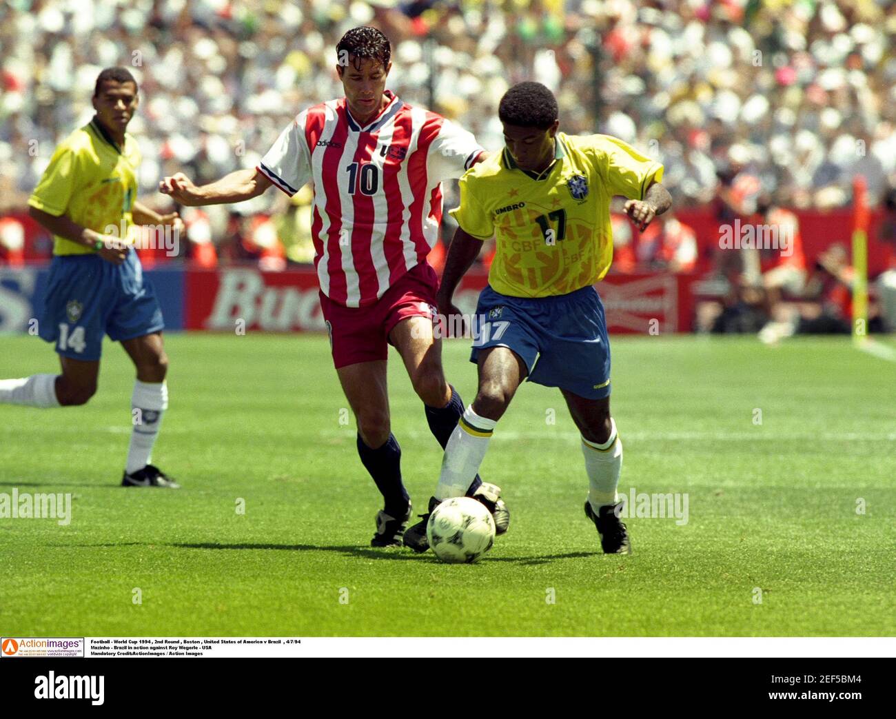 Wegerle hi-res stock photography and images - Alamy