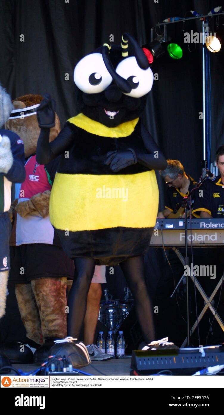 London wasps mascot hi-res stock photography and images - Alamy