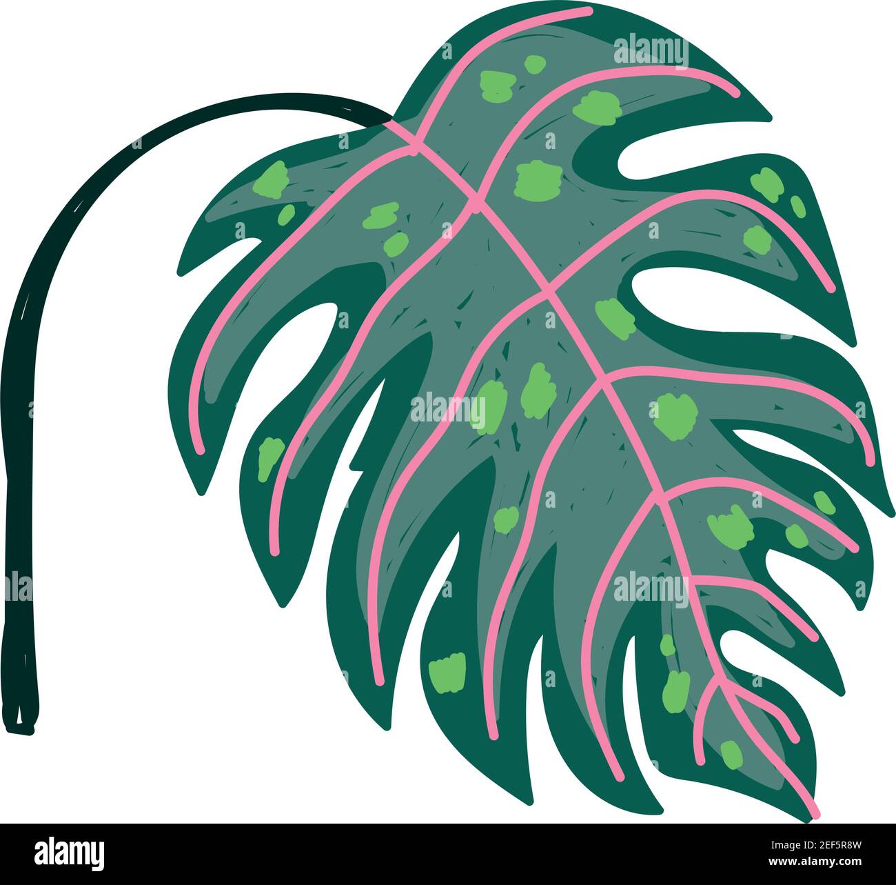 monstera leaf tropical exotic foliage cartoon isolated vector ...