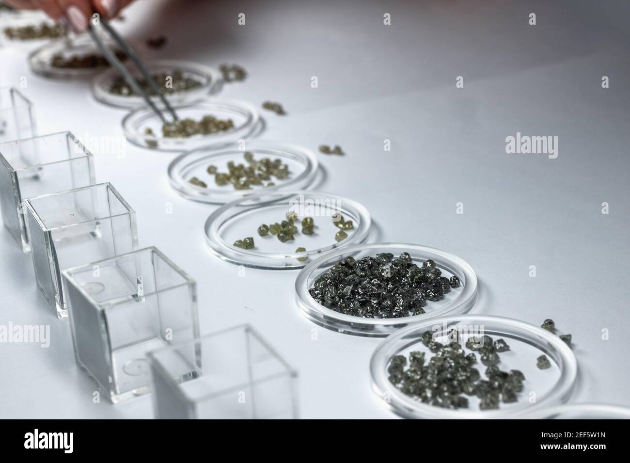 The process of manual sorting of diamonds. Gemstones are sorted by ...