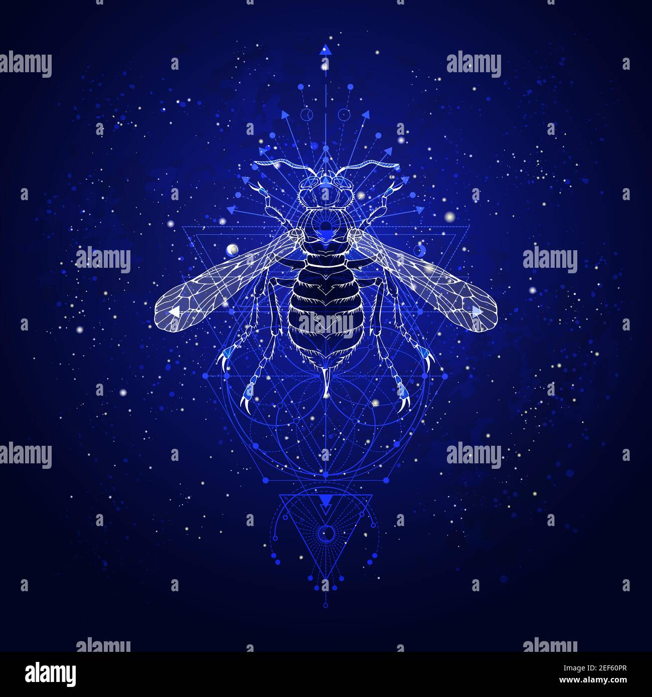 Vector illustration with hand drawn wasp and Sacred geometric symbol ...