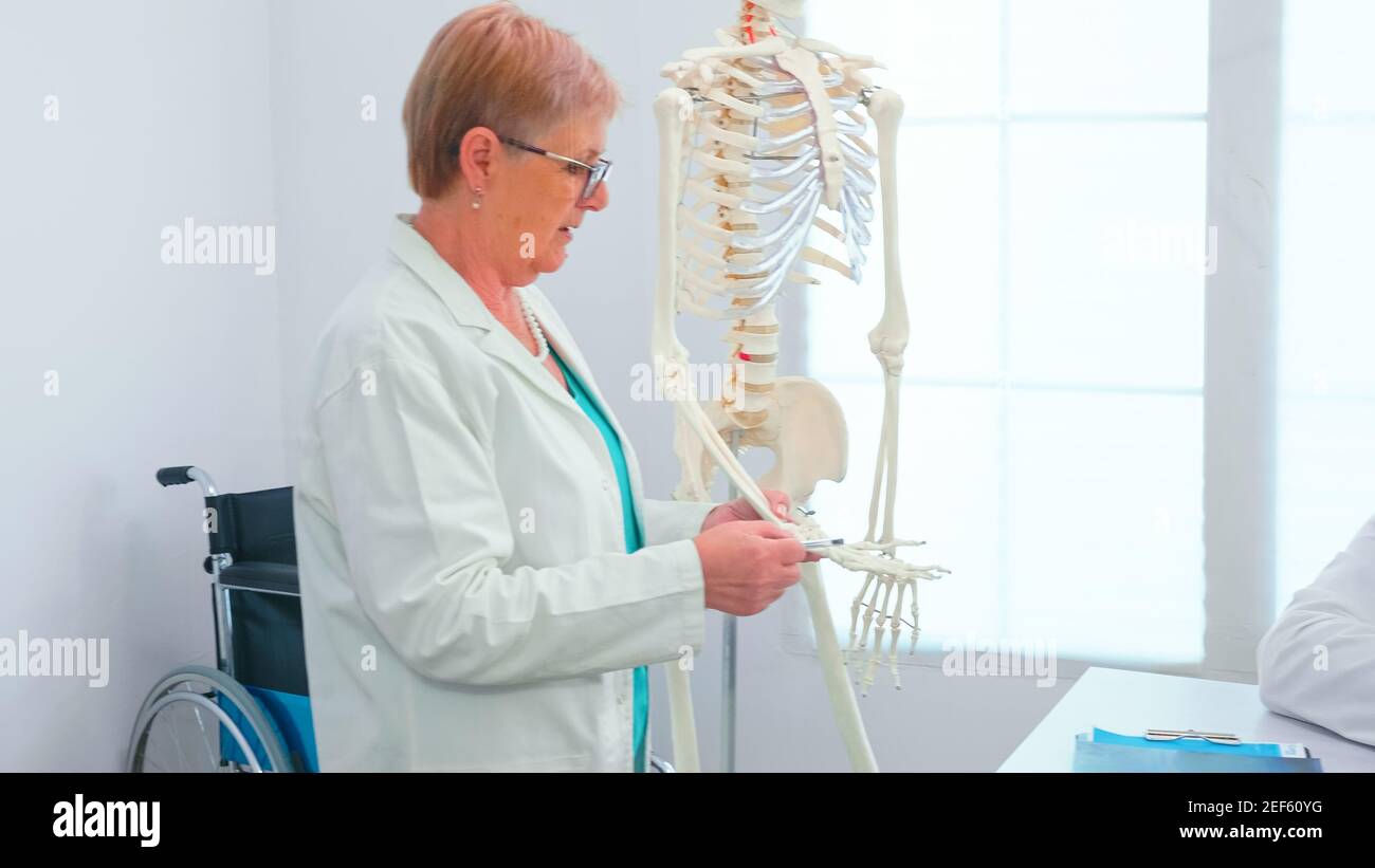 Medical doctor woman teaching anatomy using human skeleton model ...