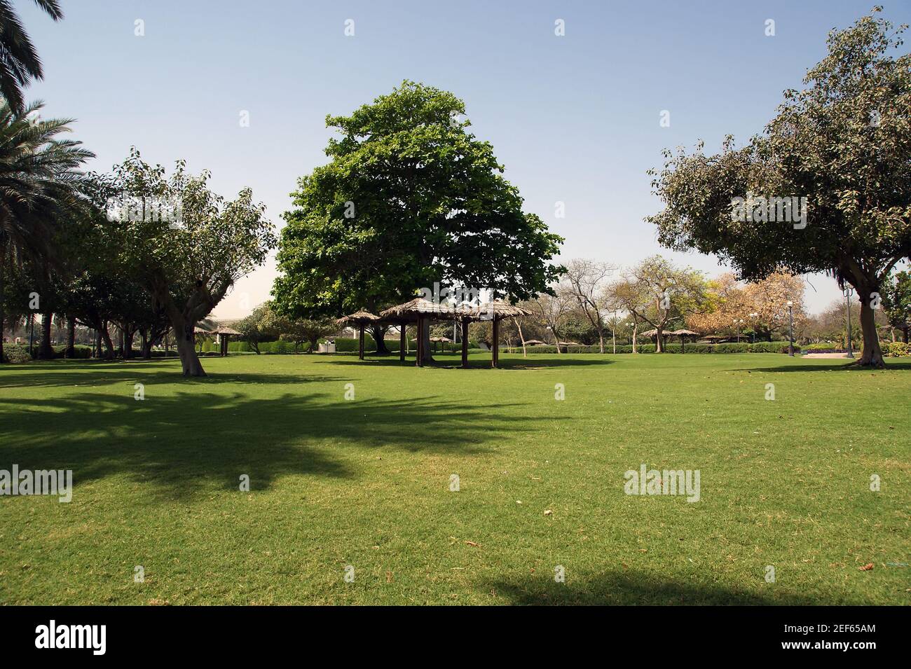 View of beautiful park in Dubai, UAE. Al Mamzar Beach and Park Stock ...