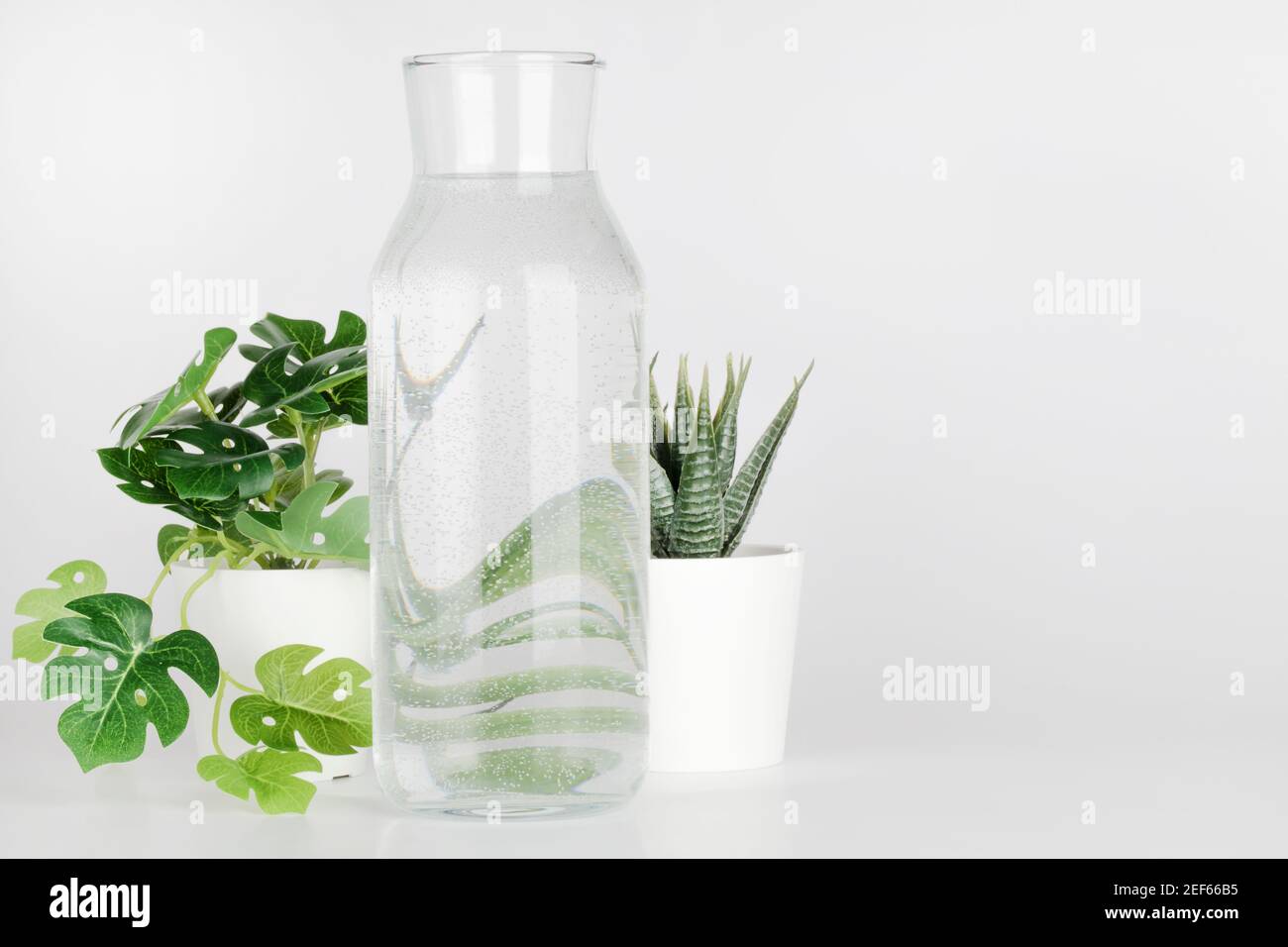 plants in pots distorted through water in bottle on white background ...