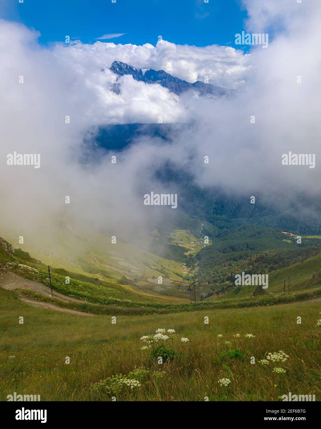 High mountains of the Caucasus with beautiful views. Green vegetation ...