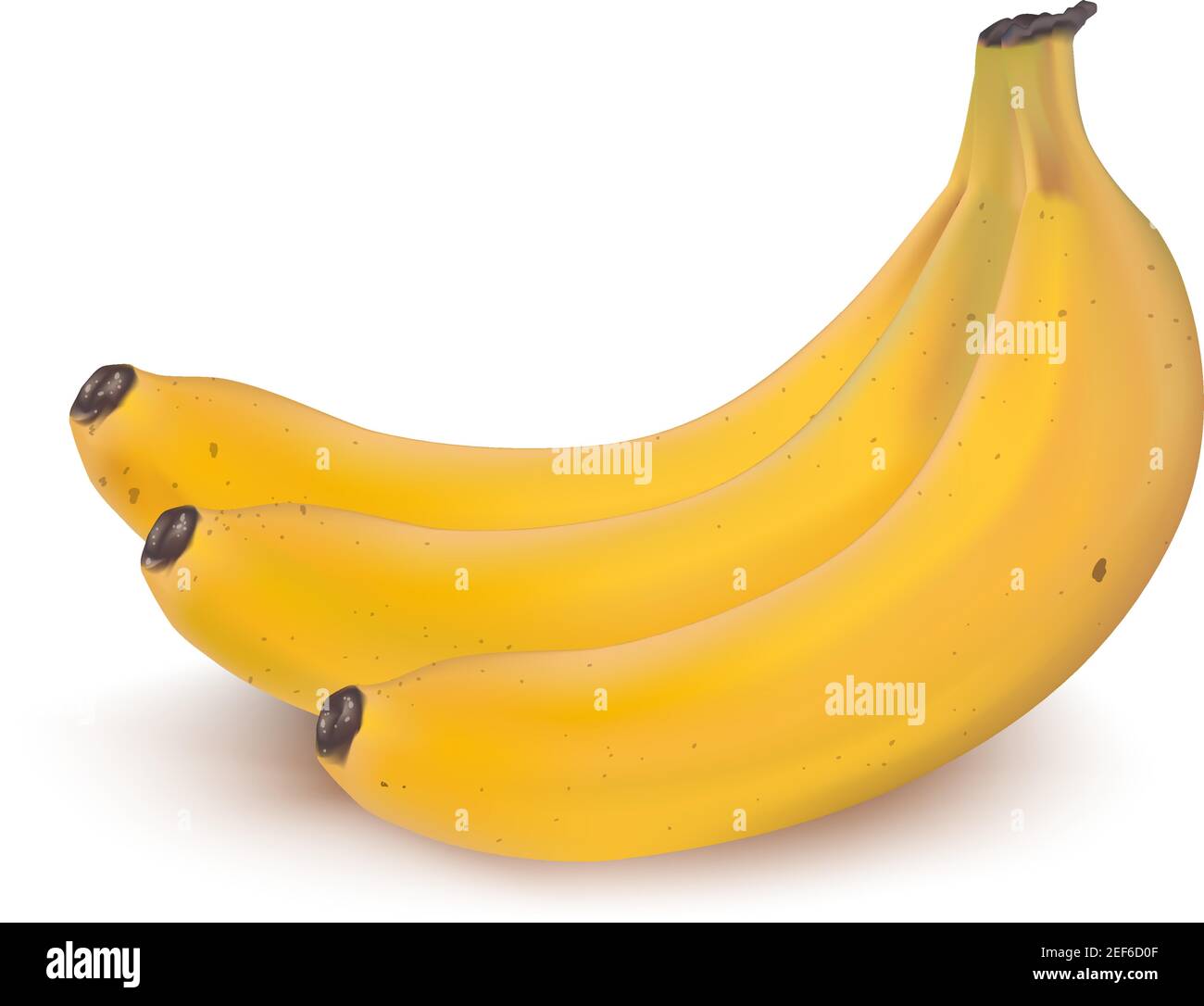 Vector banana hi-res stock photography and images - Alamy