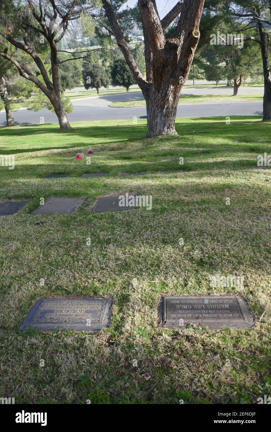 Los Angeles, California, USA 16th February 2021 A general view of ...