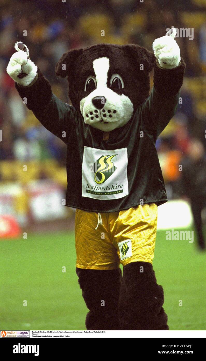 Rotherham united mascot hi-res stock photography and images - Alamy