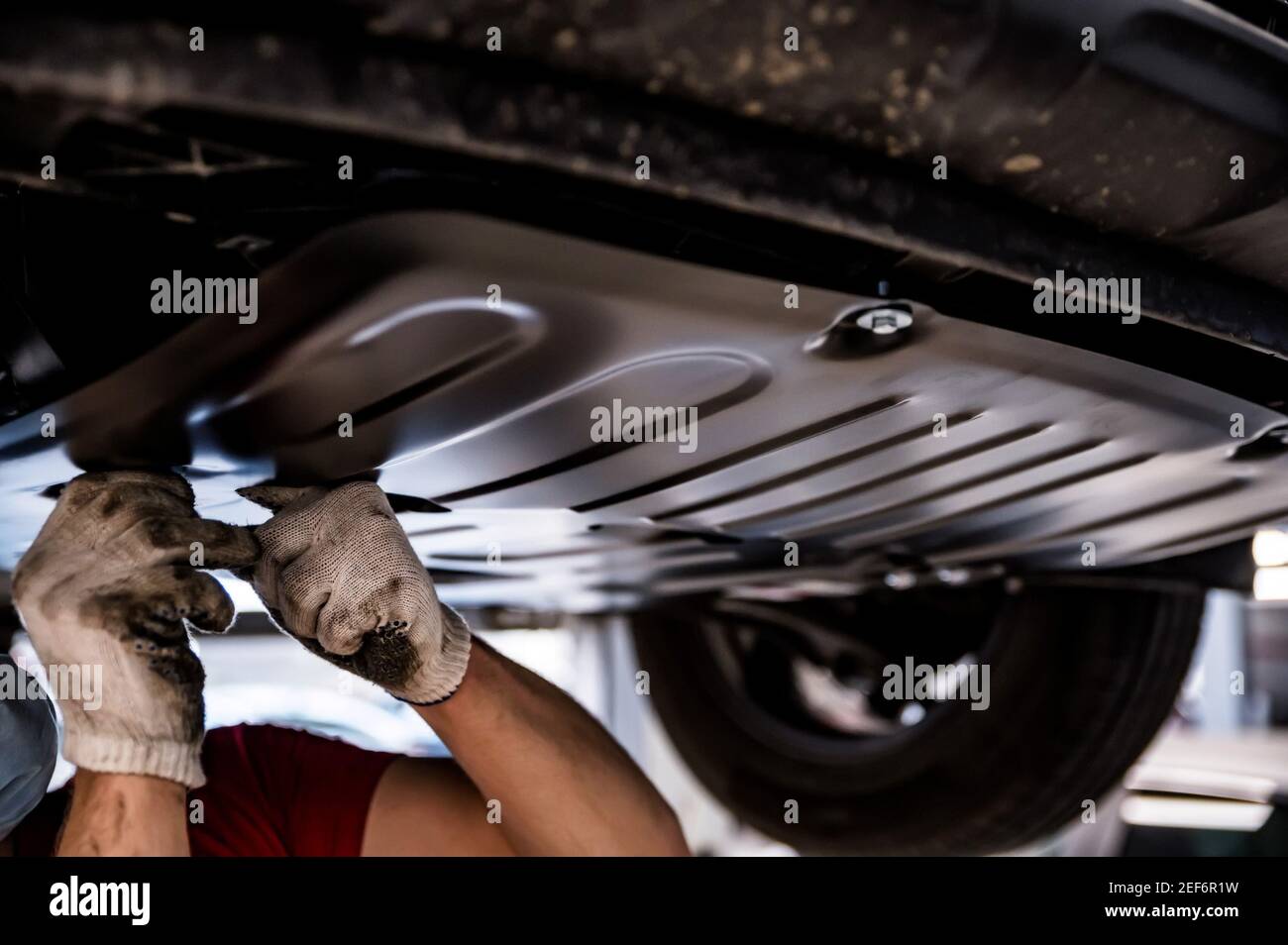 Car mechanic checks car on stand for motor protection check in workshop ...