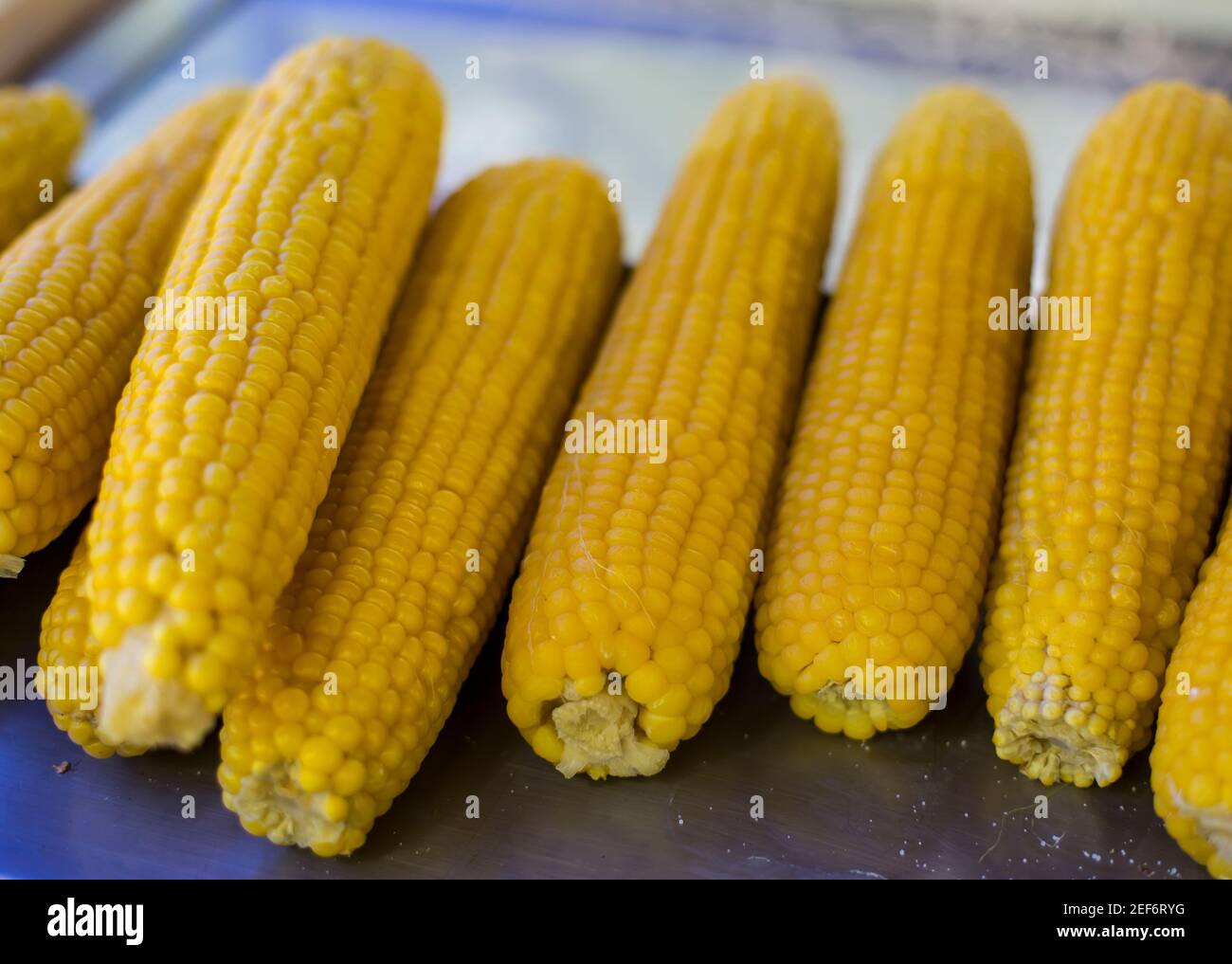 Corn cob boiled snack vegetables hi-res stock photography and images ...