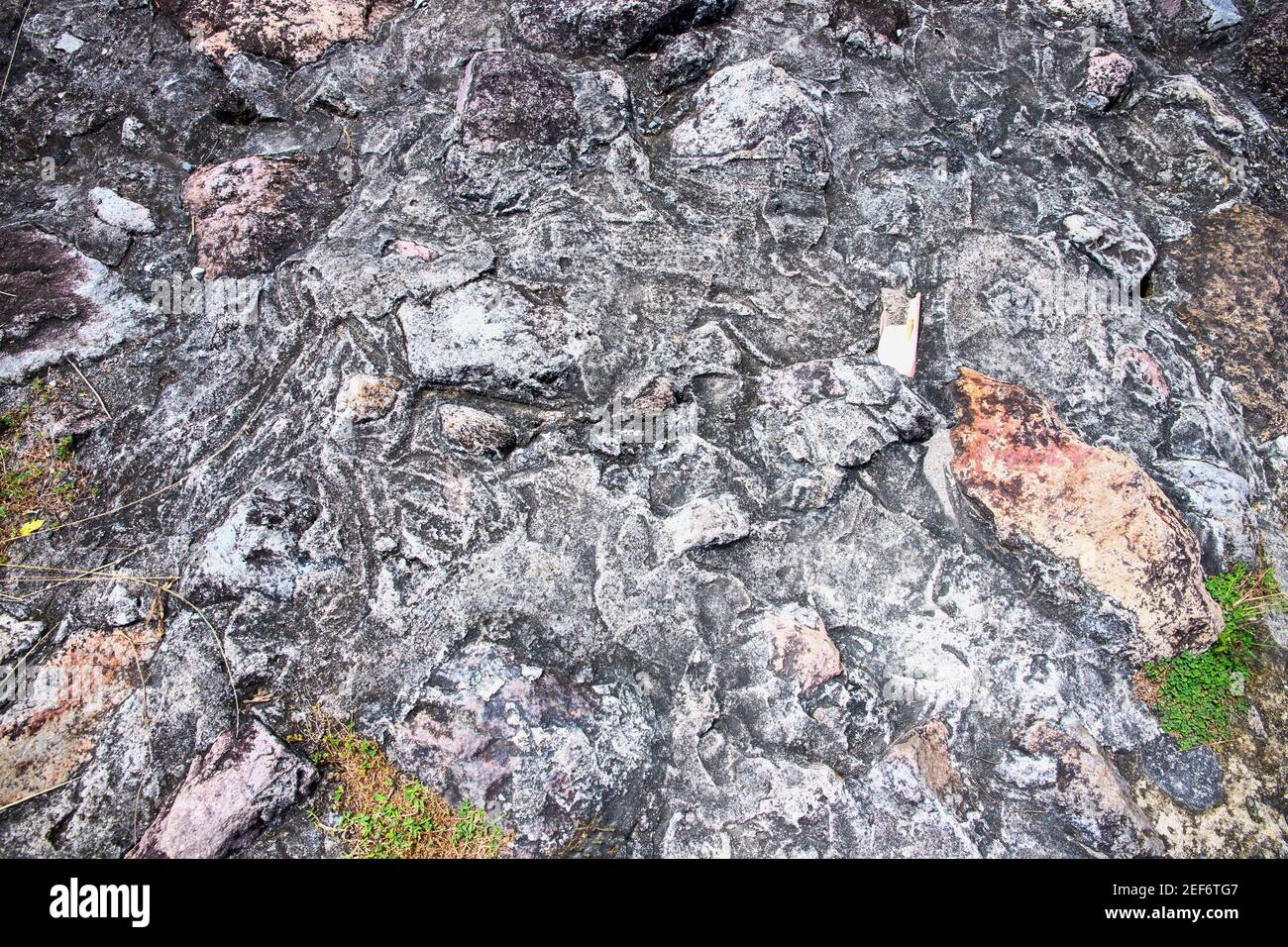 Black rock surface with green leaves. Volcanic lava stone top view ...