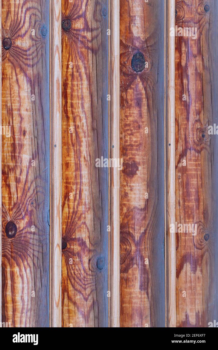Vertical Log wood wall texture for background Stock Photo - Alamy