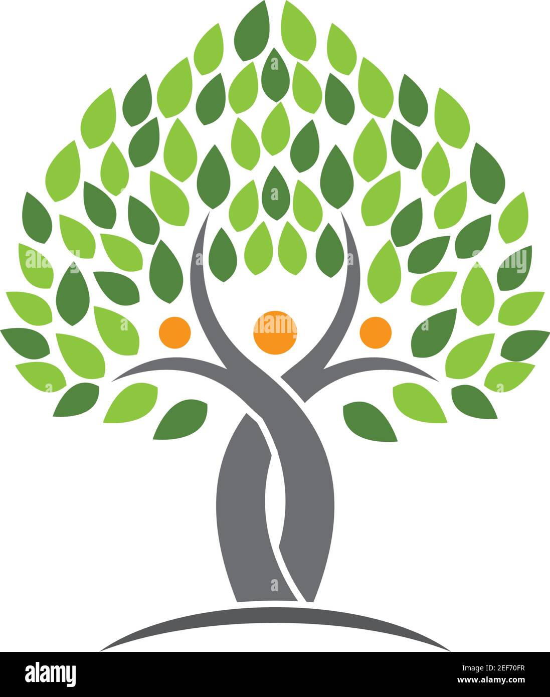 Oak tree logo icon Stock Vector Images - Alamy