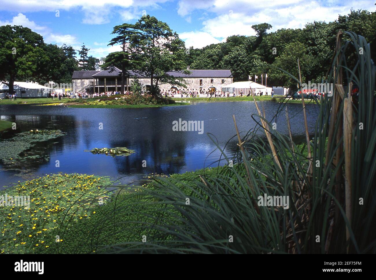 Fota island golf course hi-res stock photography and images - Alamy