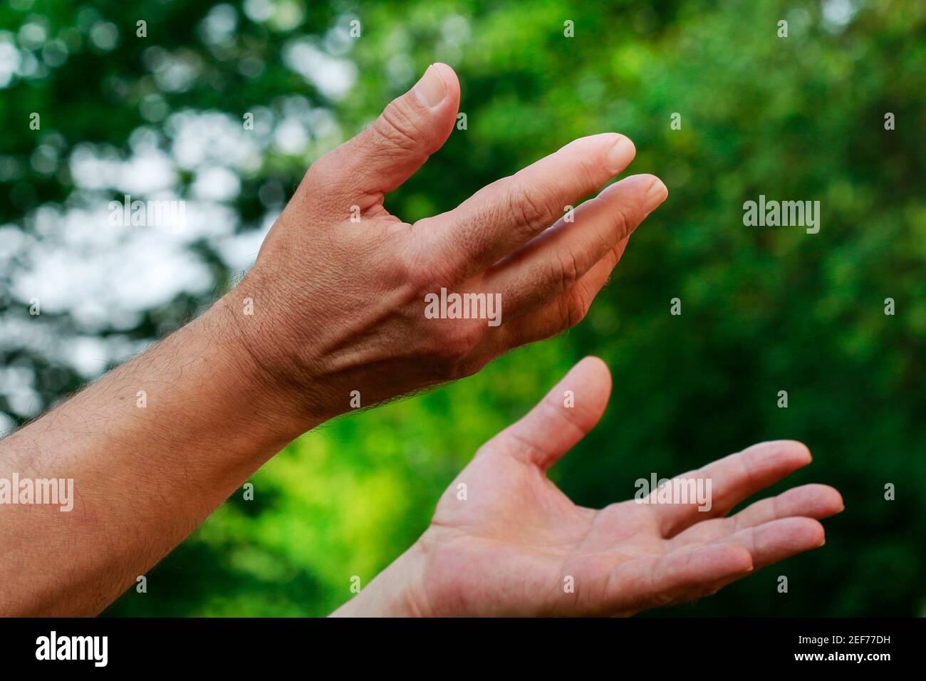 Gesture of begging hands on green background. Idea of help Stock Photo ...