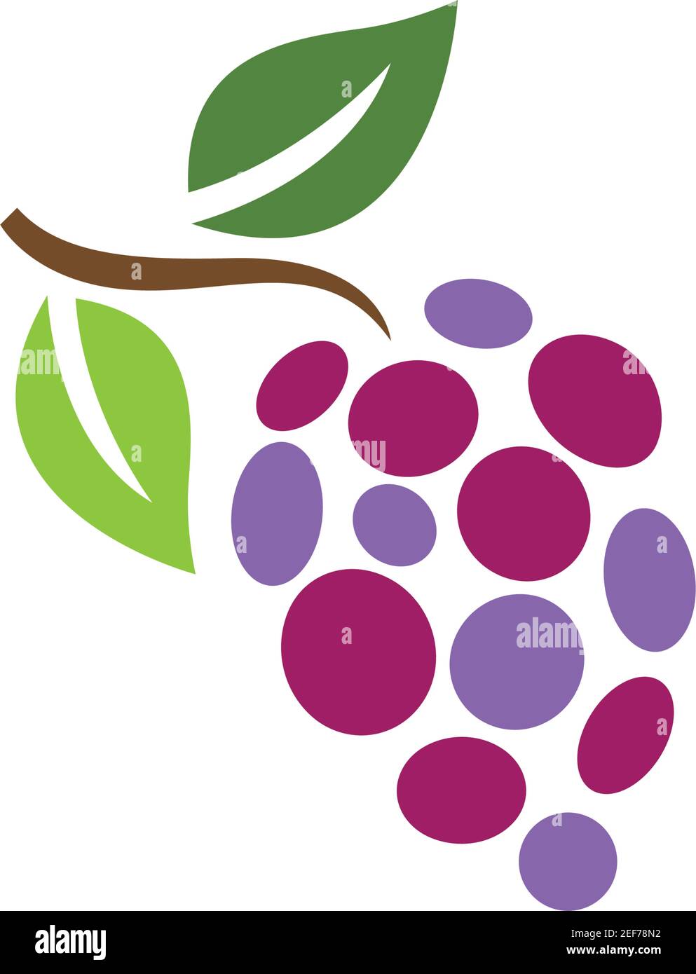 Vitis vector vectors hi-res stock photography and images - Alamy