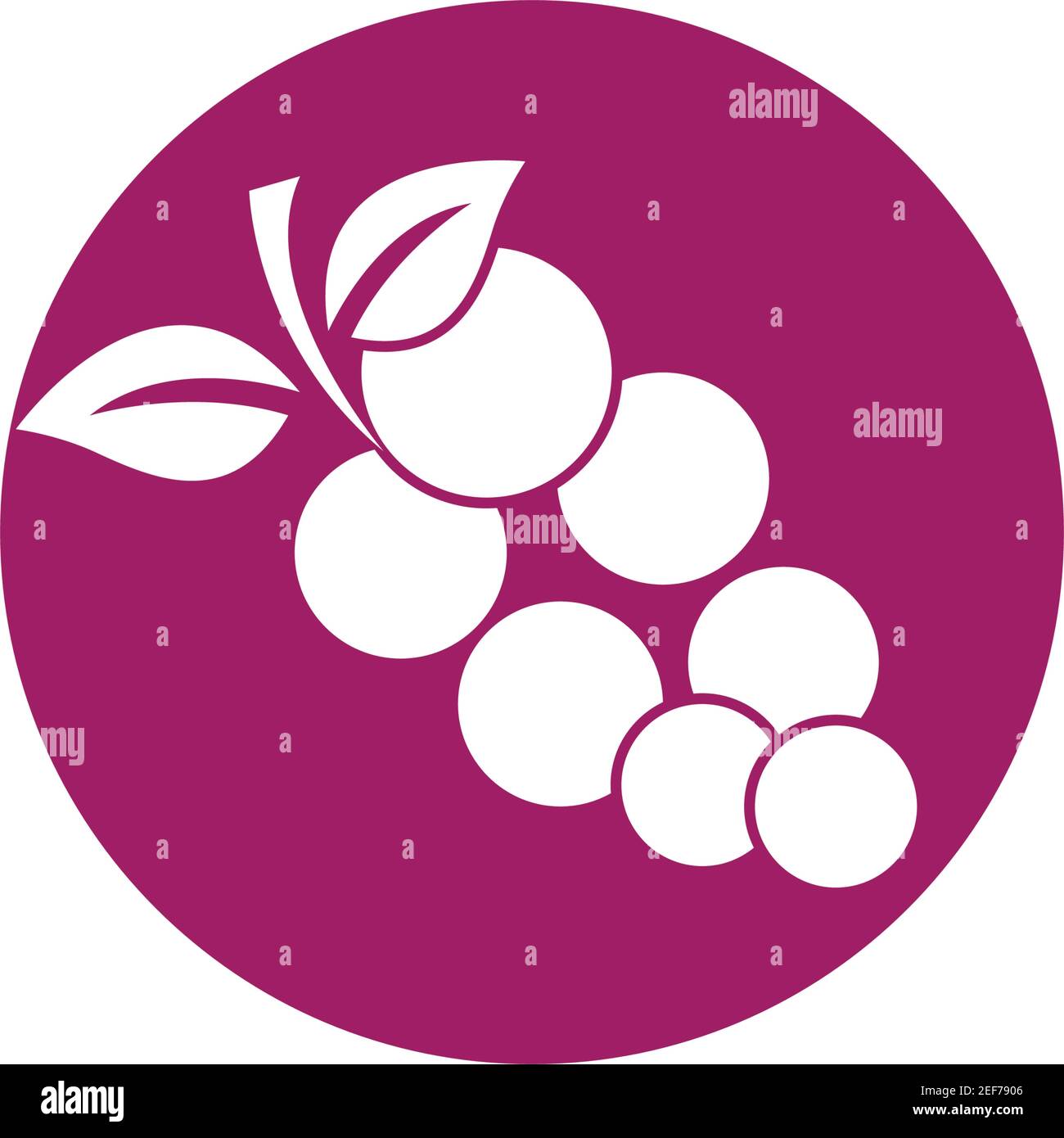 Vitis Vinifera Plant Stock Vector Images - Alamy