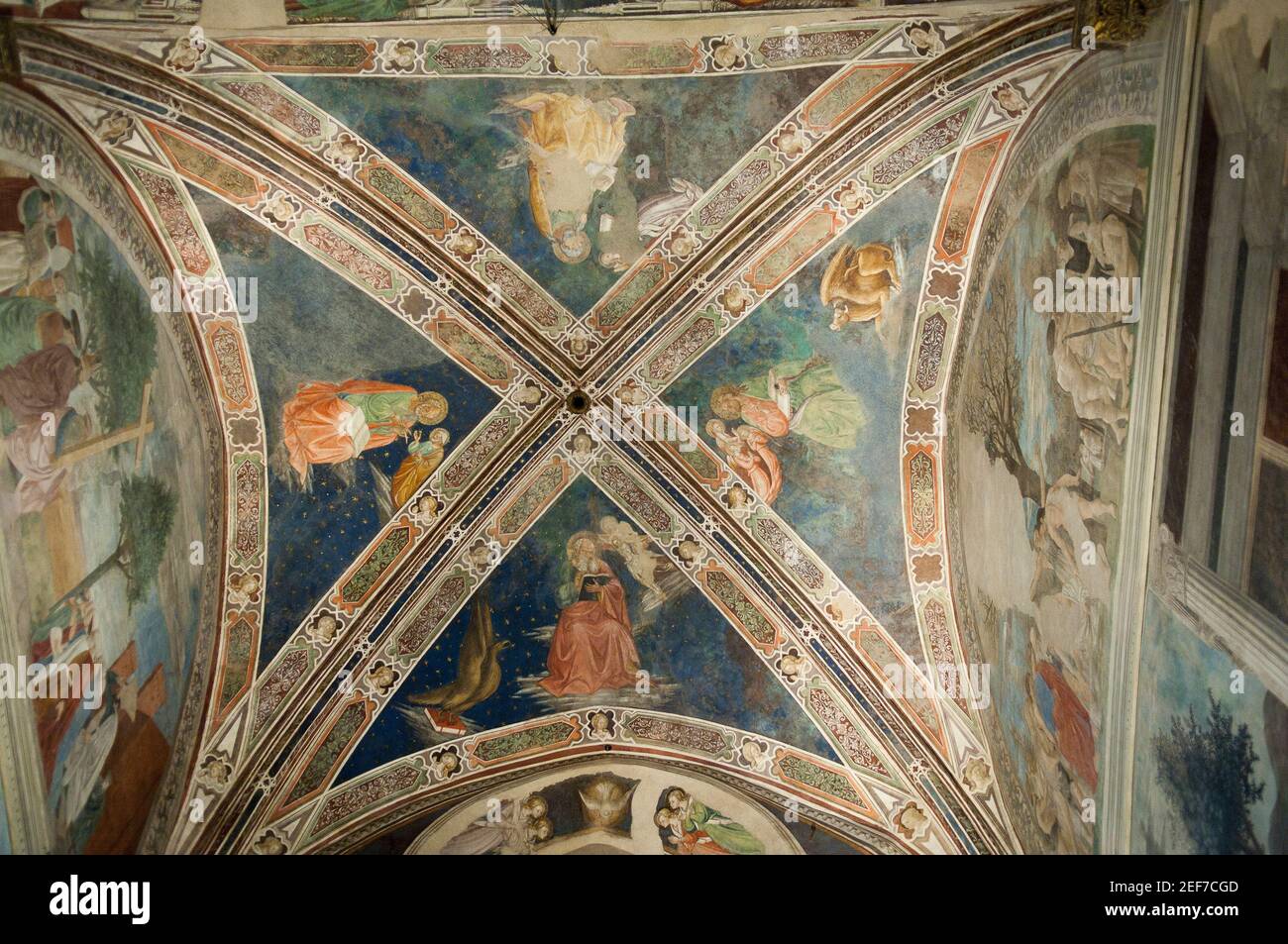 Europe, Italy, Tuscany, Italian Gothic Basilica di San Francesco ...