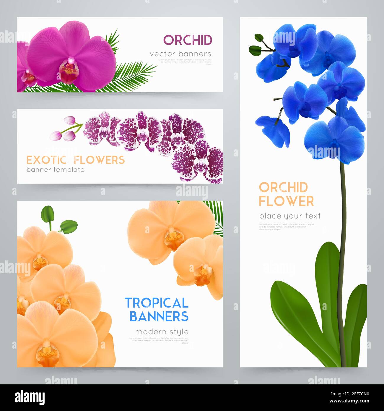 Blooming orchid plants 4 tropical botanic banners collection with ...