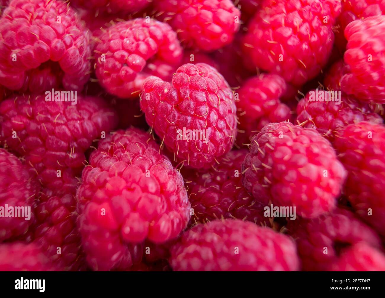 Bunch of red ripe raspberry Stock Photo - Alamy