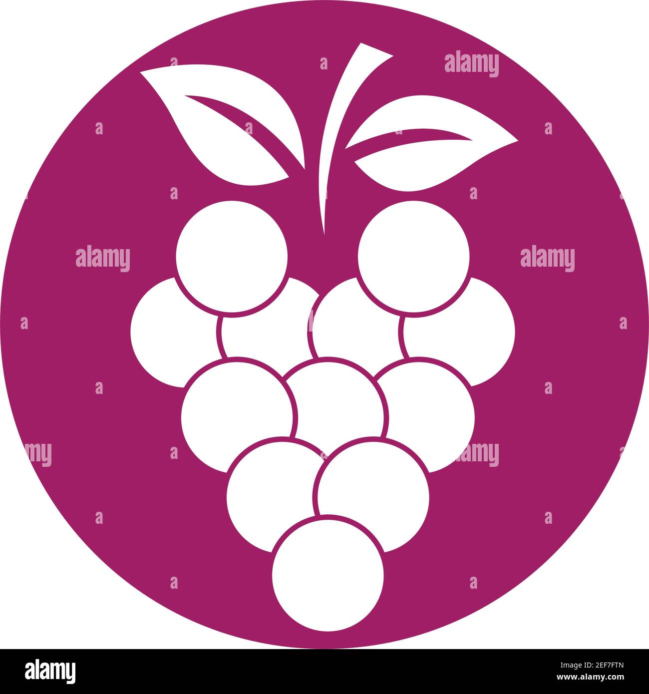 Vitis vector vectors hi-res stock photography and images - Alamy