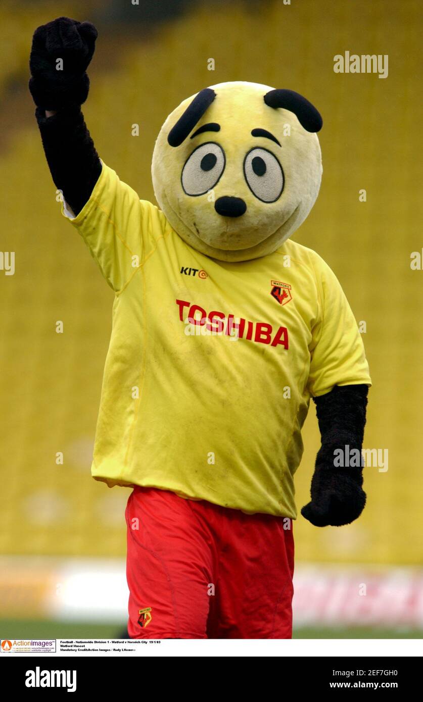 Norwich city mascot hi-res stock photography and images - Alamy