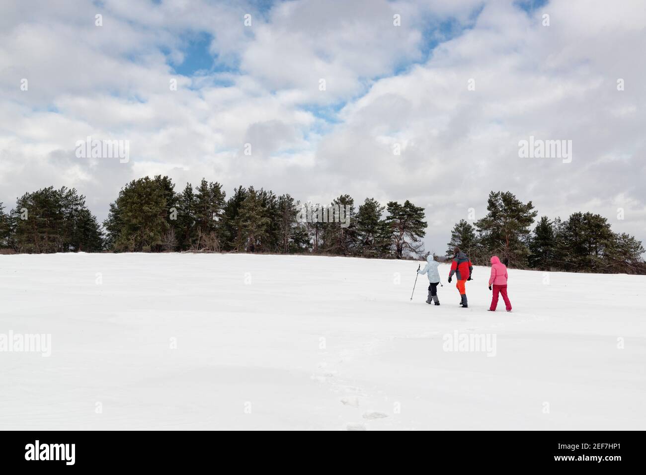 Snowshoe tracks through winter hi-res stock photography and images - Alamy