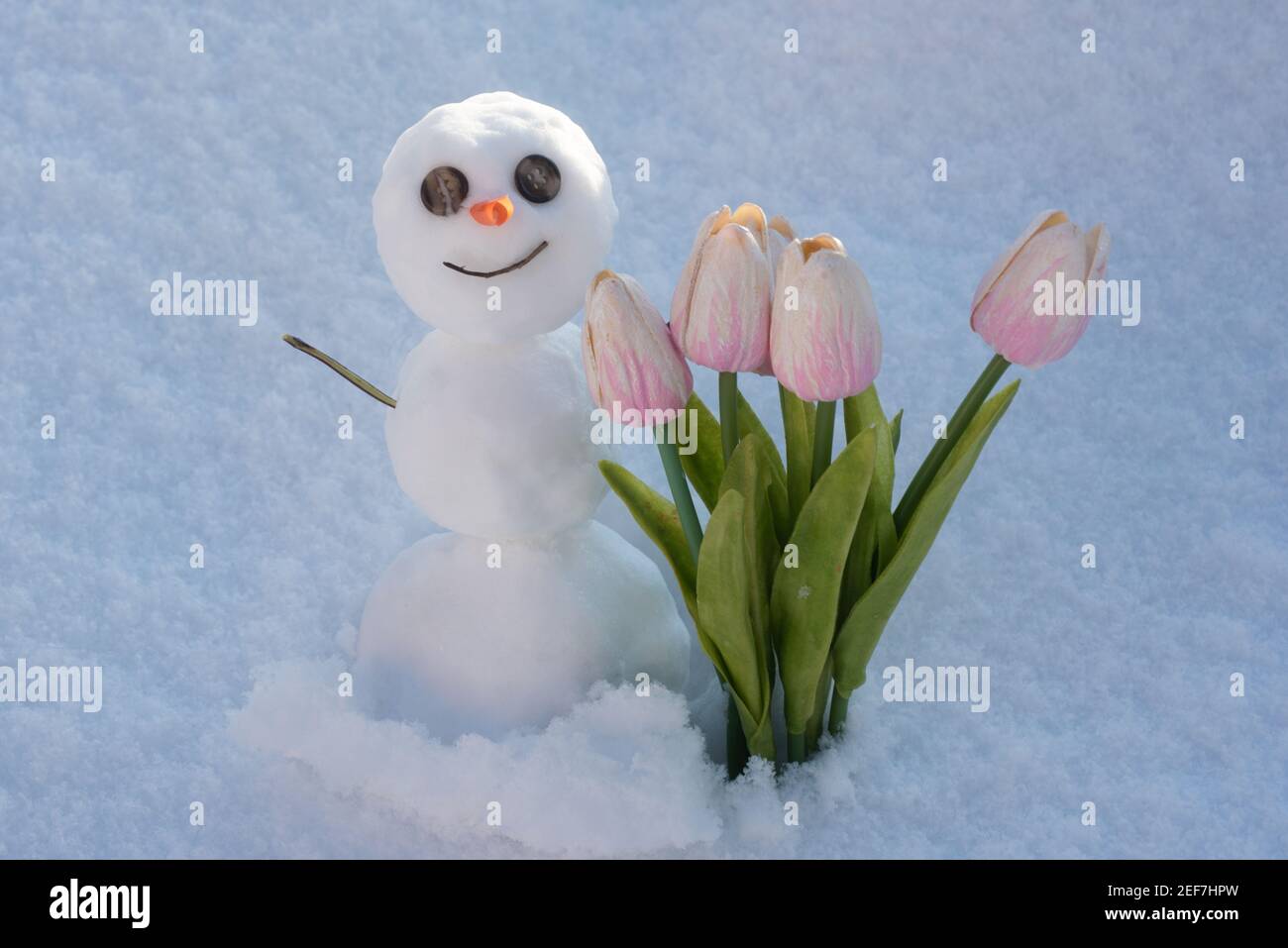 Happy Spring Pictures With Snow