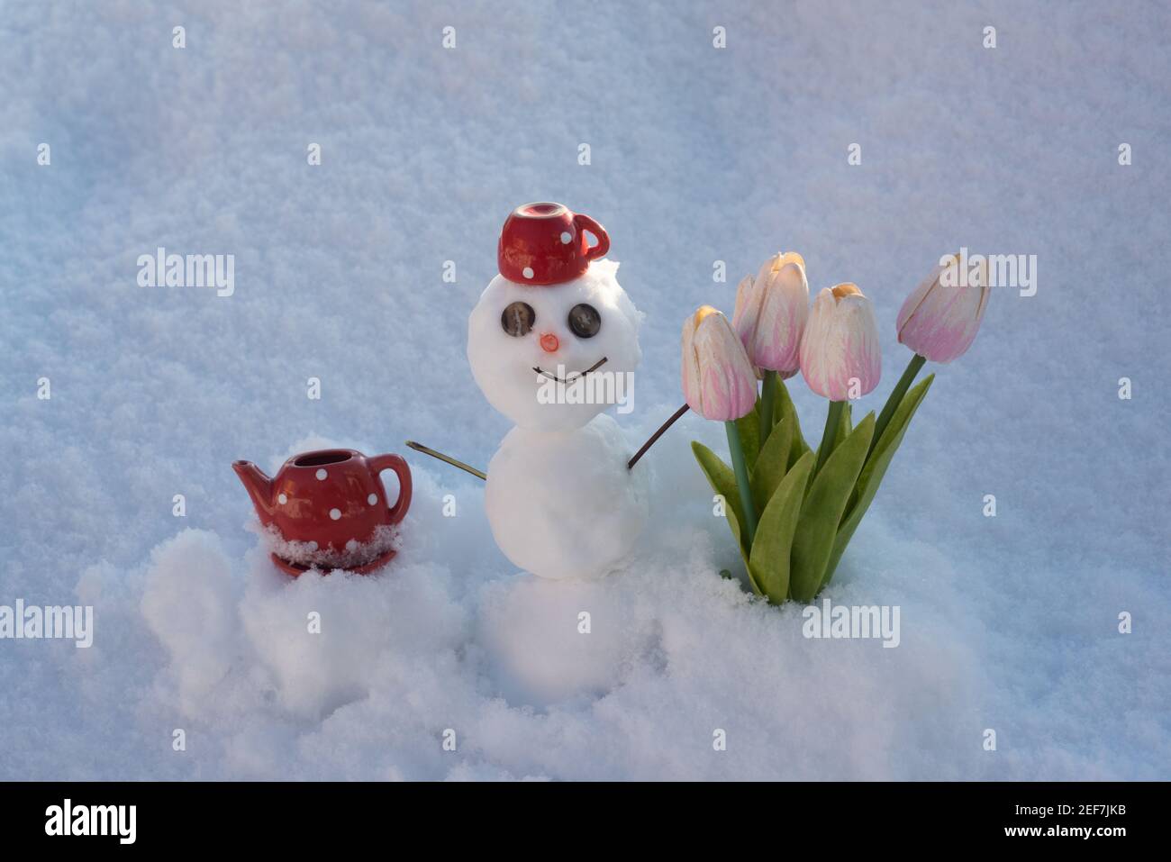 Snowman blossom hi-res stock photography and images - Alamy
