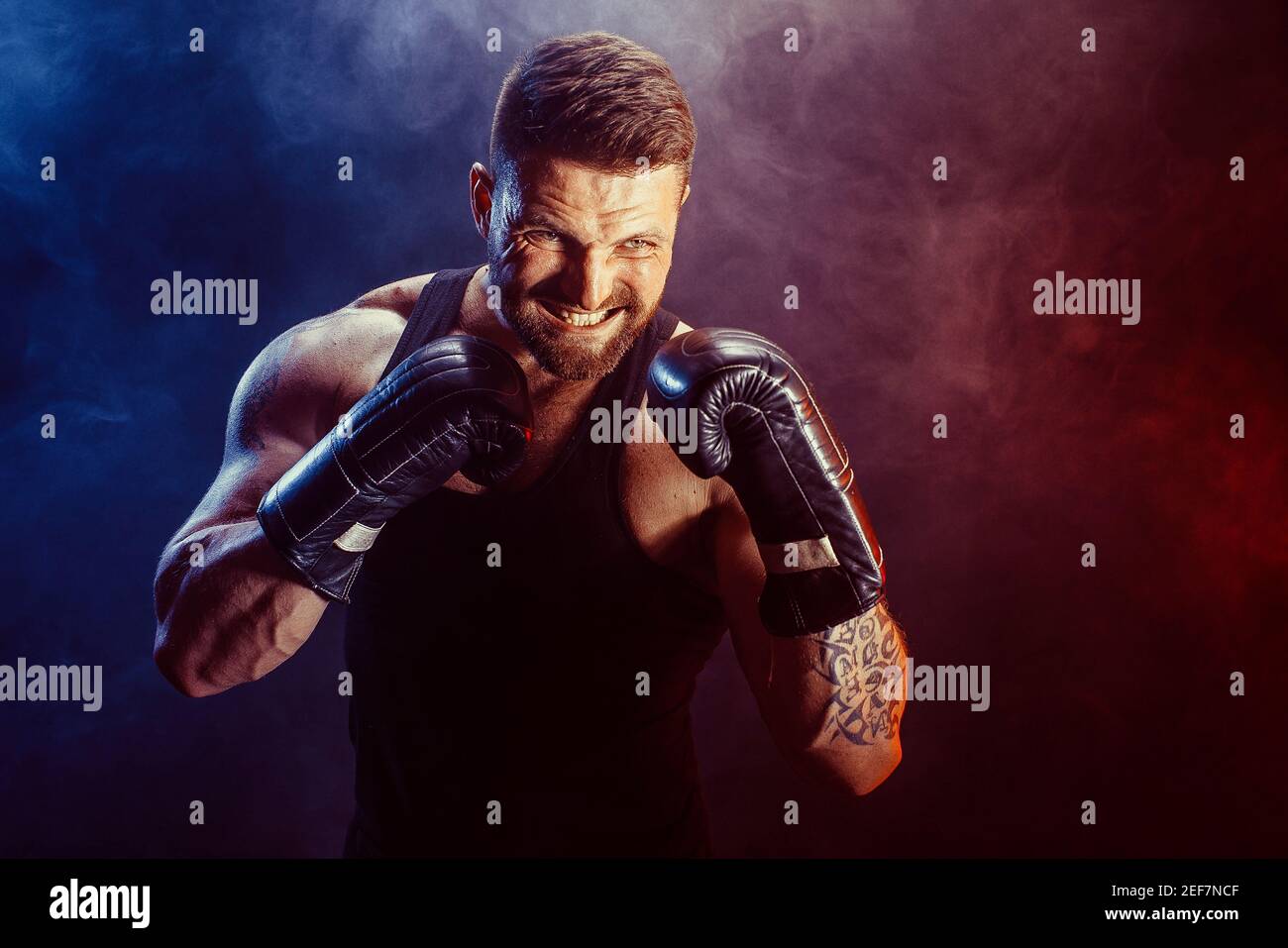 Sportsman boxer fighting on black background with shadow. Copy Space ...