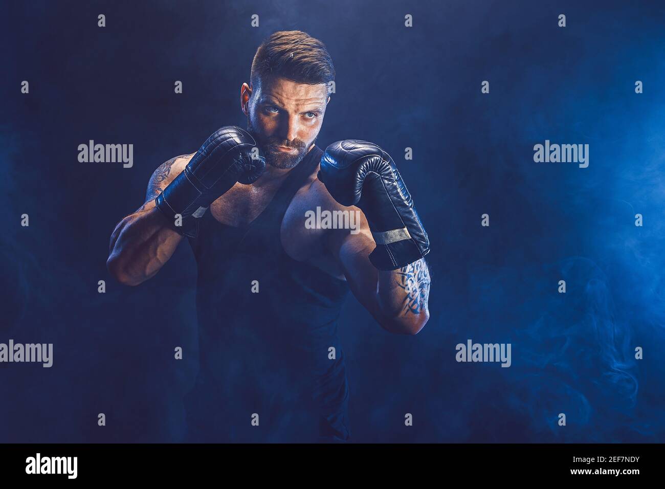 Sportsman boxer fighting on black background with shadow. Copy Space ...