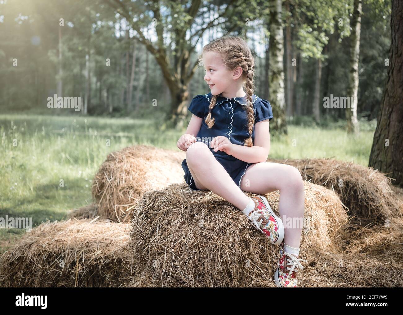 Girl sunshine hair forest trees field hi-res stock photography and ...