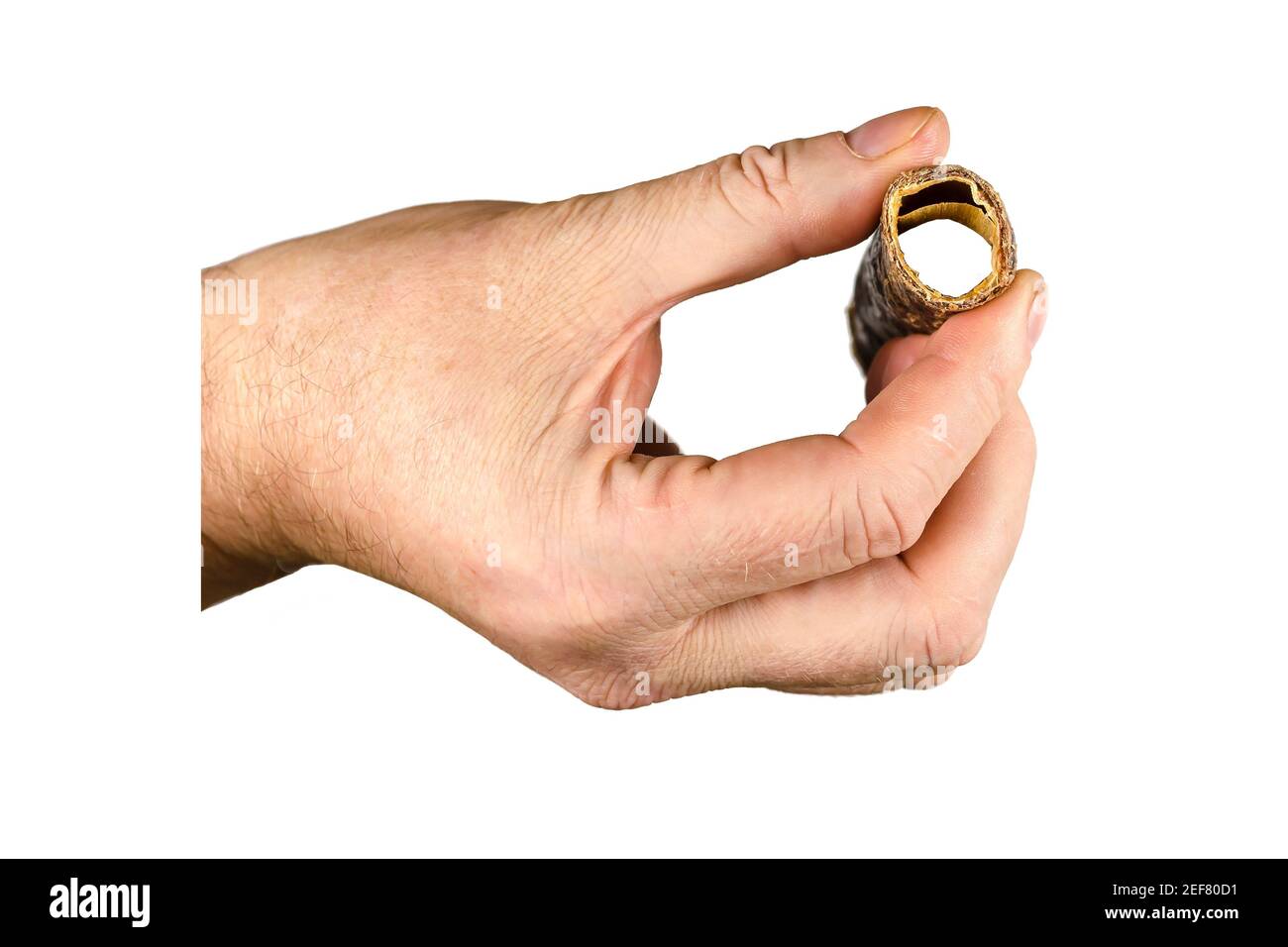 Men's Hand demonstrates Dried beef esophagus sticks. Chews treats for ...