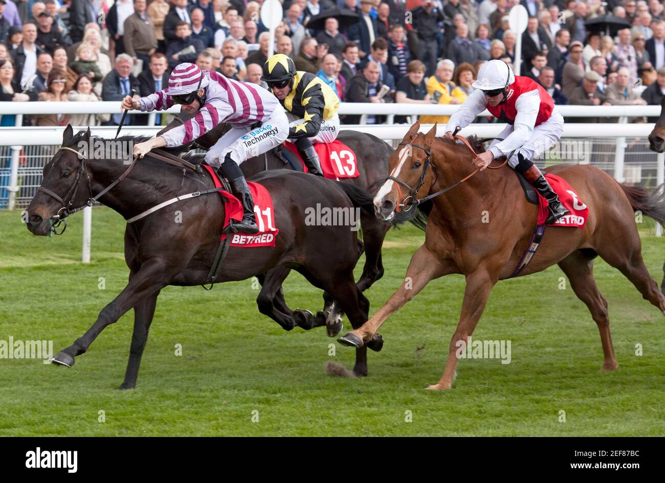 Ancient horse racing hi-res stock photography and images - Alamy