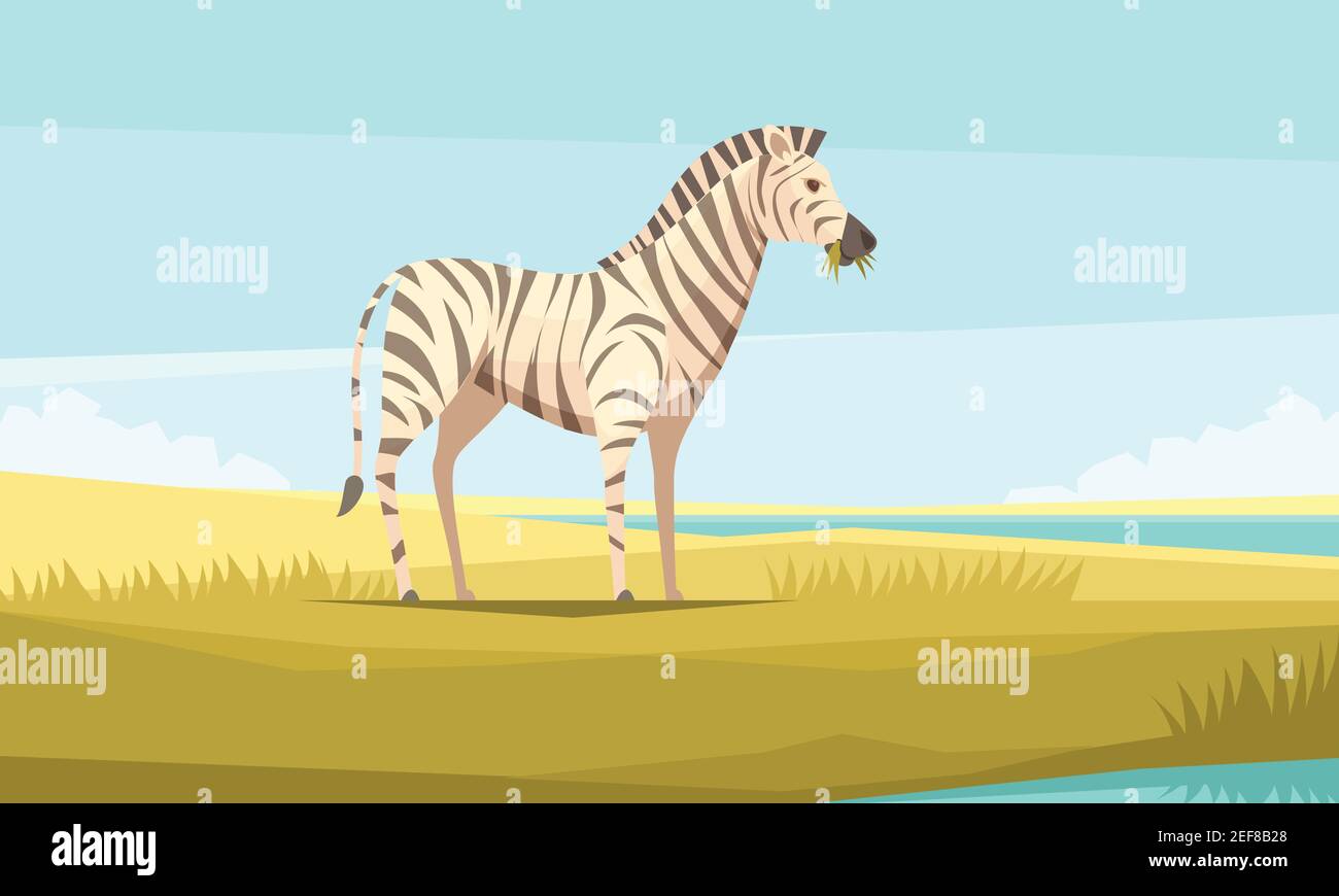 Zebra chewing grass Stock Vector Images - Alamy