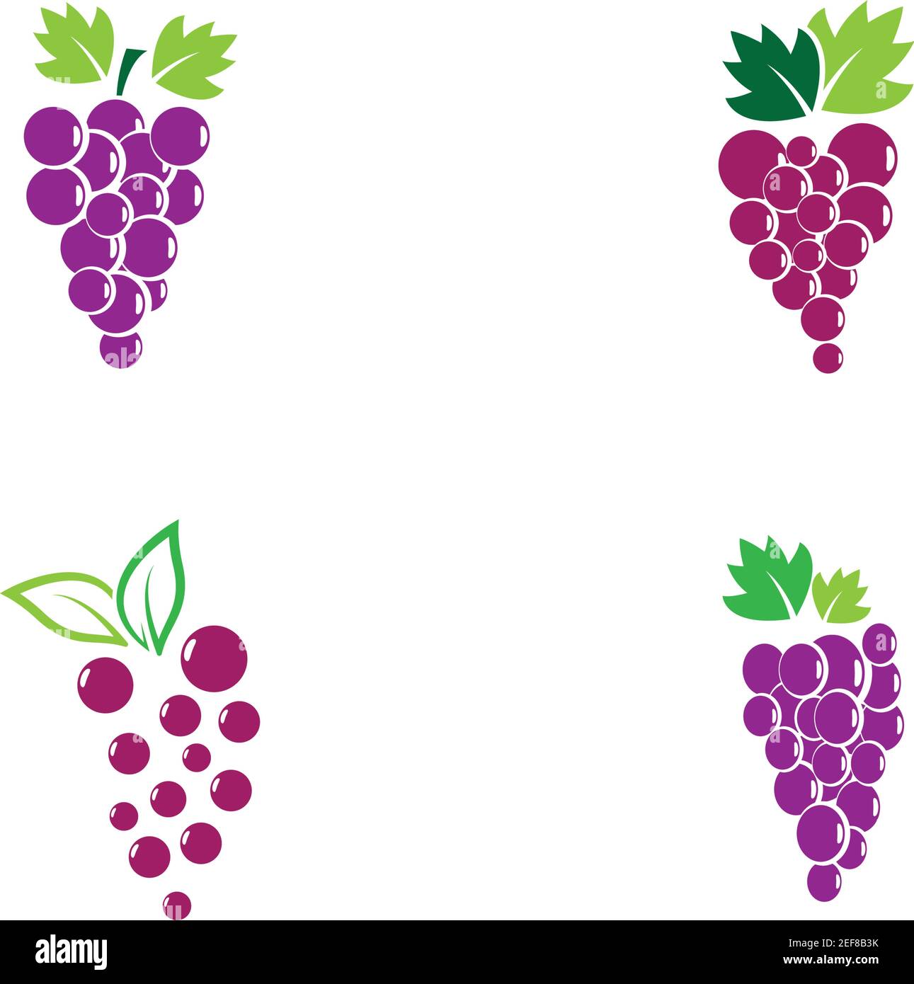 Vitis vector vectors hi-res stock photography and images - Alamy