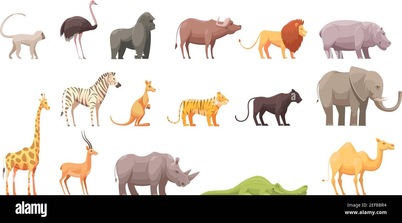 Wild animals retro cartoon collection of flat isolated jungle and ...