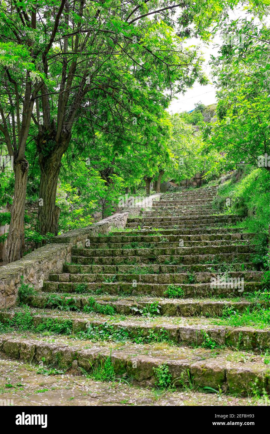 The is big ladder in the historic city in Turkey Stock Photo - Alamy