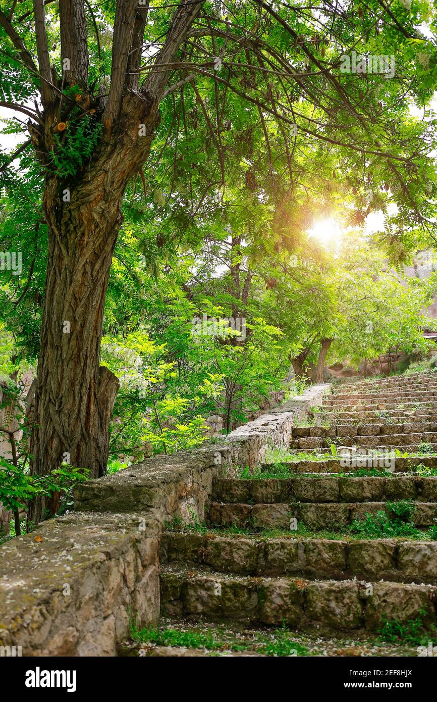 The is big ladder in the historic city in Turkey Stock Photo - Alamy