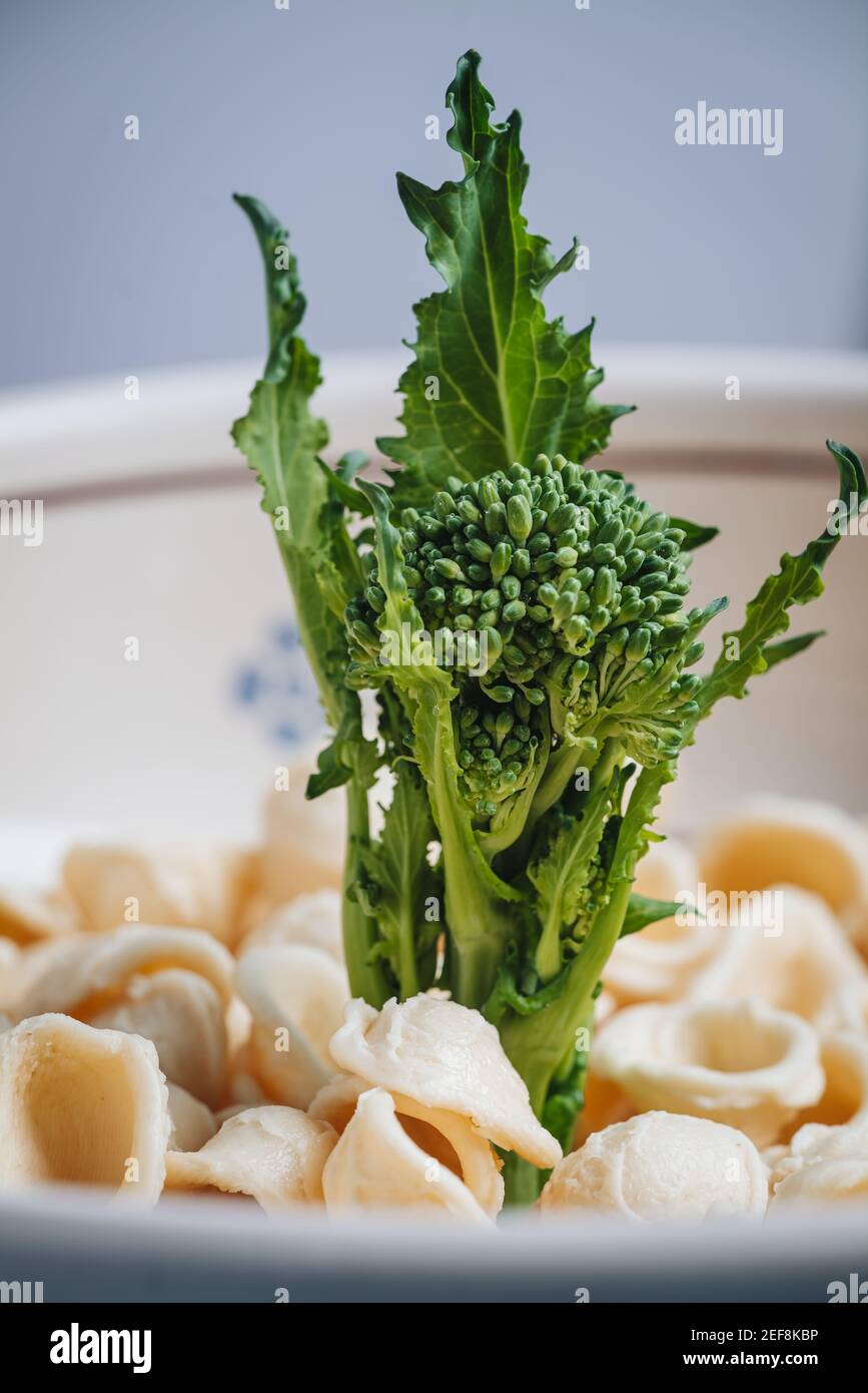 Traditional apulian dish with orecchiette shaped pasta and turnip tops ...