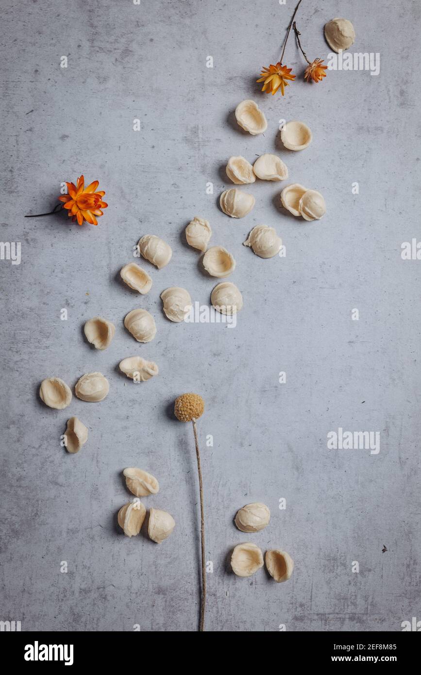 Traditional hand made apulian orecchiette shaped pasta Stock Photo - Alamy