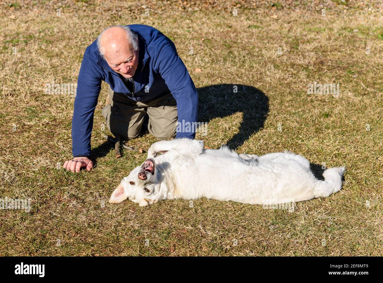 Elderly couple playing dog hi-res stock photography and images - Alamy