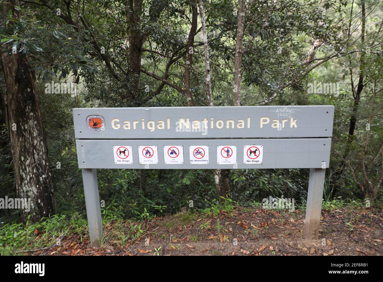 Garigal National Park, East Lindfield, Sydney, NSW, Australia Stock ...