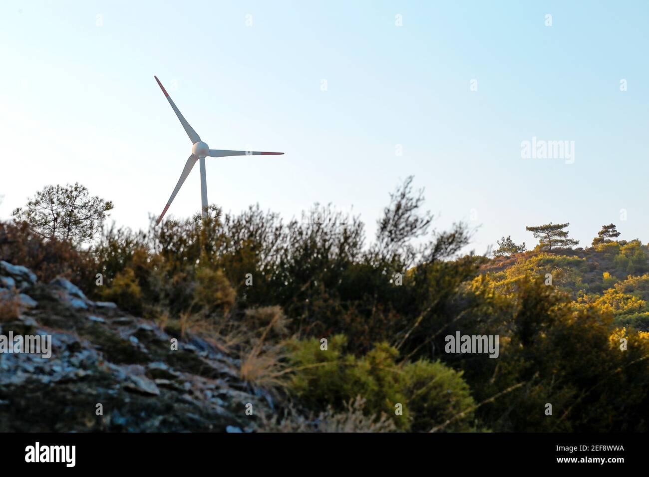 Pine tree windmill hi-res stock photography and images - Alamy