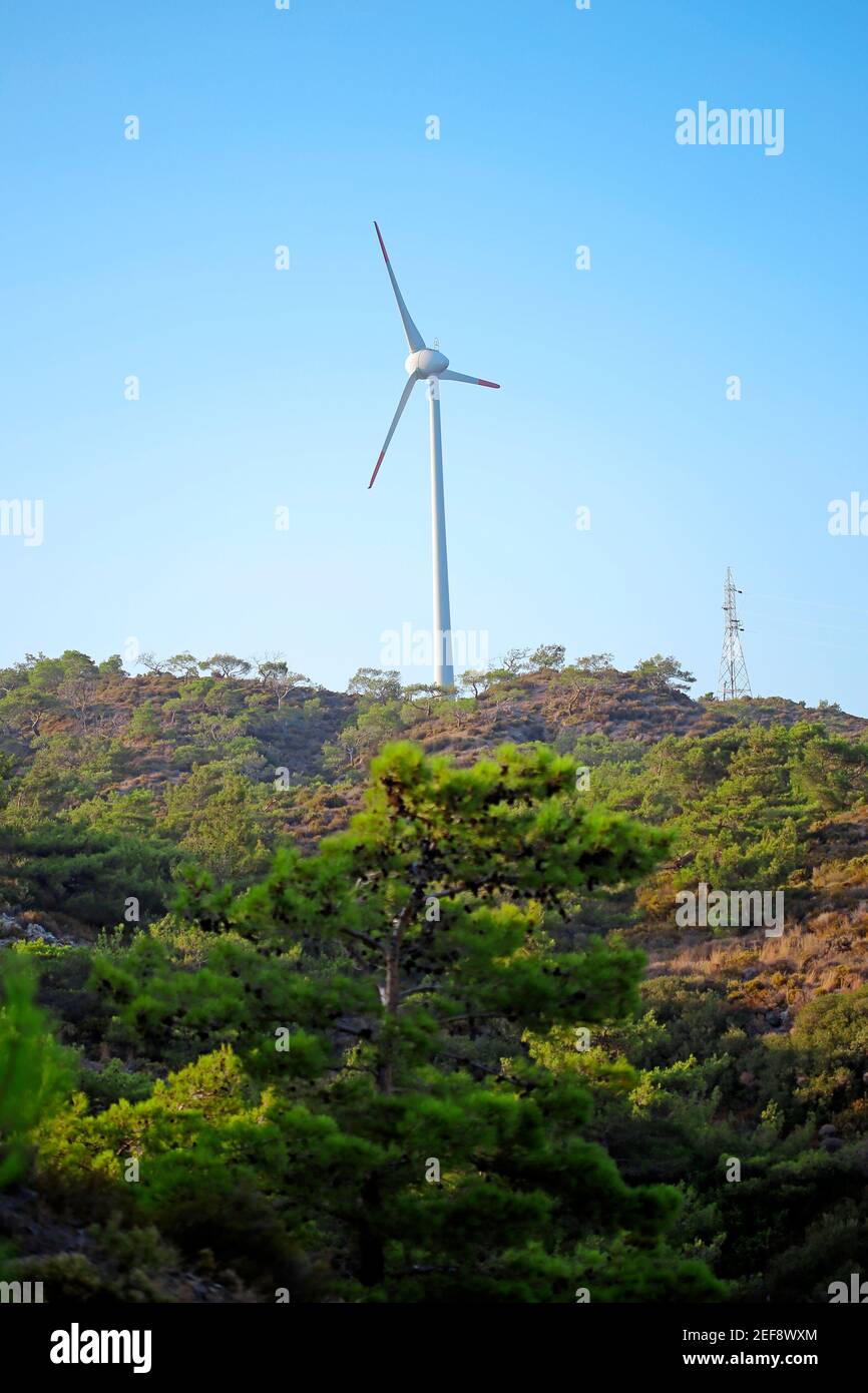Pine tree windmill hi-res stock photography and images - Alamy